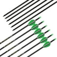 Carbon Arrow 29 inch 12-Pack Hunting Arrows Spine 400 for 30-65lb Bows ...