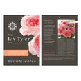 Liv Tyler™ Rose Bush - Hybrid Tea - Bare Root - Walmart.com