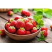 Sparkle Strawberry Plants - Grow Delicious Red Strawberries - Bare Root ...