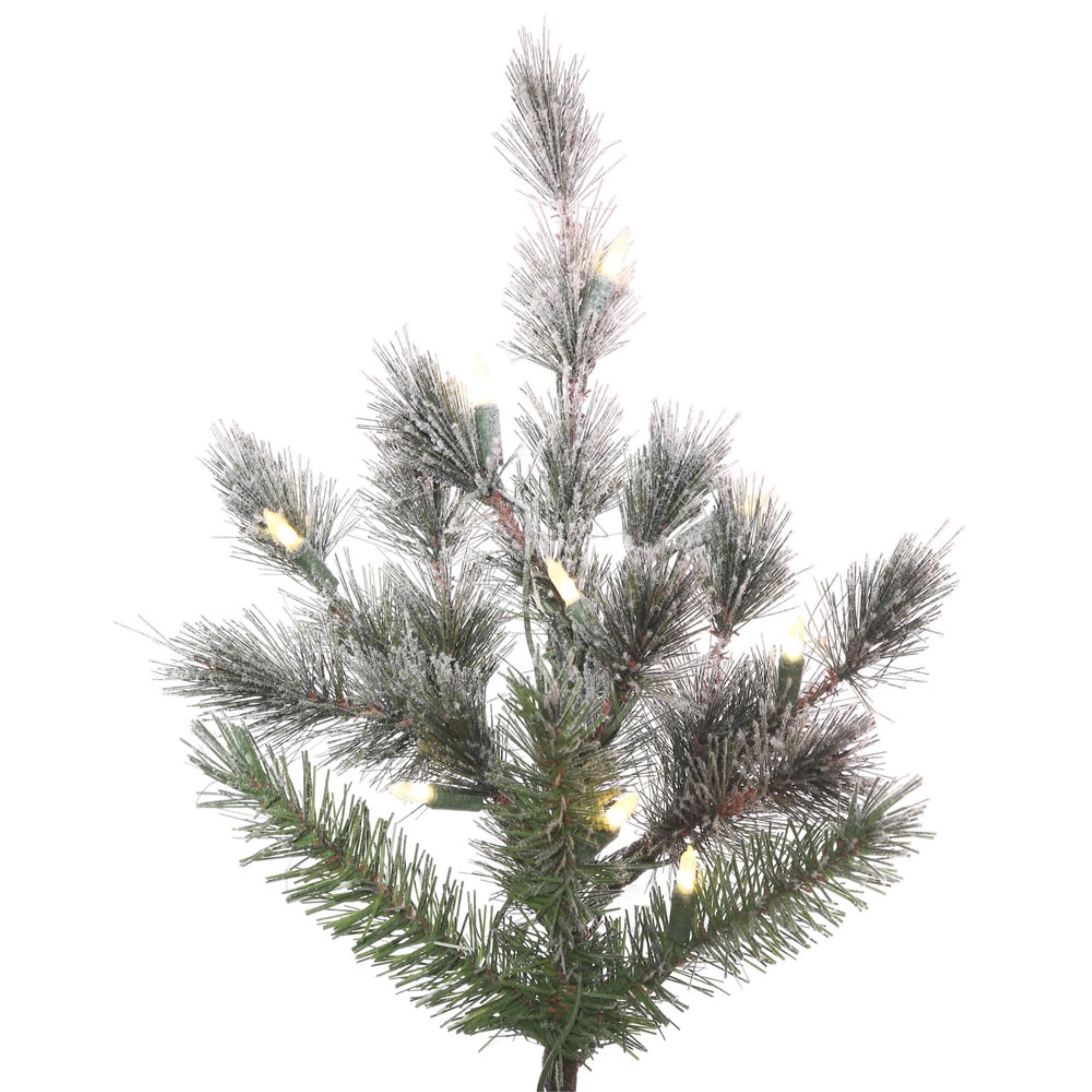 Port Authority 174 Ladies Glacier 174 Soft Shell Jacket. L790 S Caldera ...