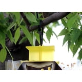 RAID Yellow Jacket, Wasp, & Hornet Trap, Disposable Plastic Trap with ...