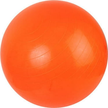 Gymnic Classic Plus Burst-Resistant Exercise Ball | Blue (65 cm ...