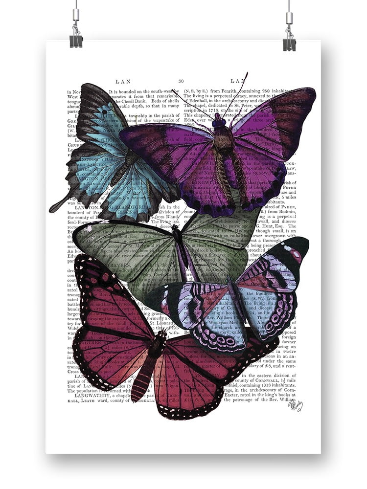 Butterflies On Paper Iii Poster - Fab Funky Designs, - Walmart.com
