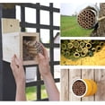 200-Pack Mason Bee Tubes, 6 Inch Cardboard Nesting Tubes for Bee House ...