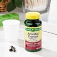 Spring Valley Activated Charcoal Dietary Supplement, 520 mg, 60 count ...