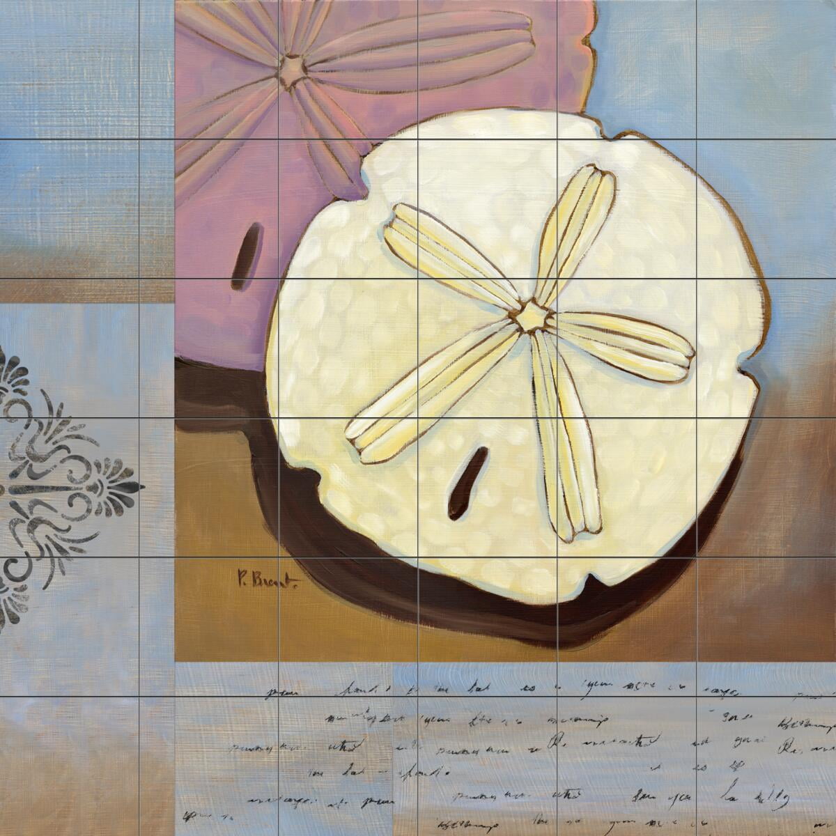 Tile Mural Bathroom Backsplash - Sanddollar Collage - by Paul Brent ...