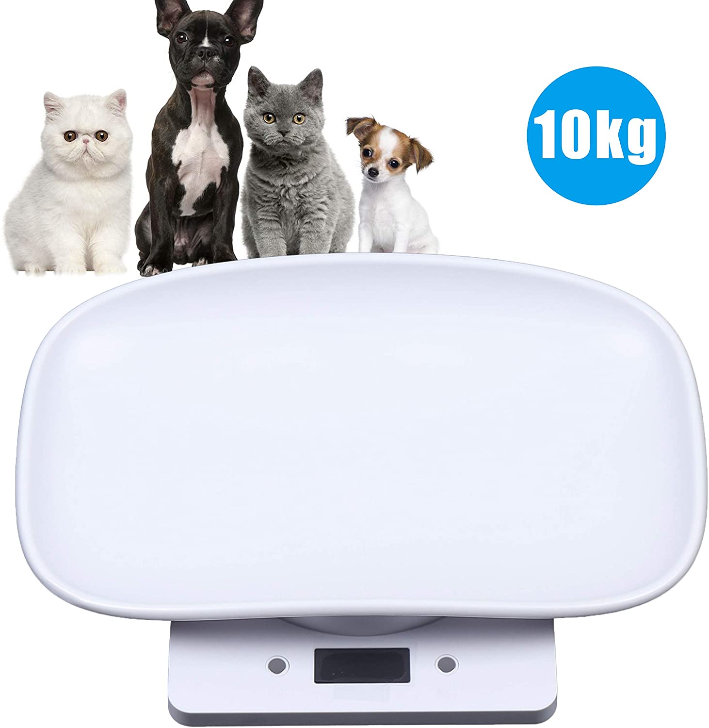 Fichiouy Digital Pet Scale Small Dog Cat Vet Weight Scale Veterinary ...