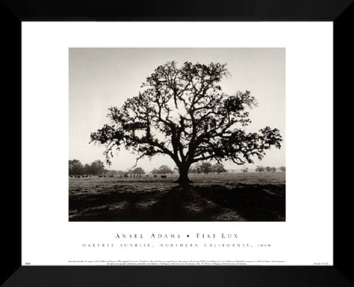 Ansel Adams FRAMED Art Print 24x30 "Oak Tree Sunrise" - Walmart.com