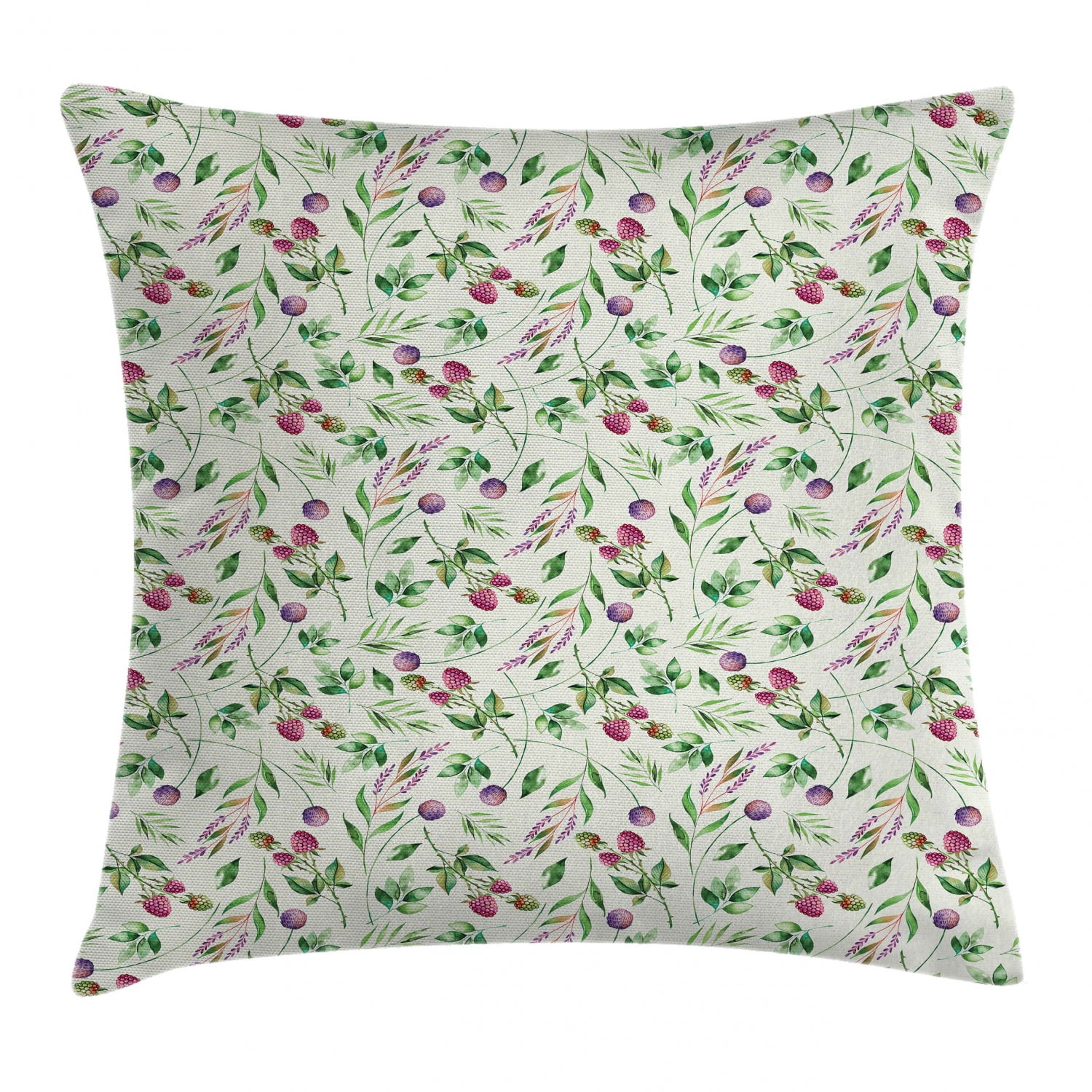Nature Throw Pillow Cushion Cover, Raspberry Branches Leaves Petals ...