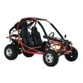 Massimo 170cc Go Kart, Adult Gasoline Powered Go Cart, 10HP, 4 Stroke ...