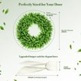 24" Preserved Boxwood Wreath for Front Door with Decorative Sash ...