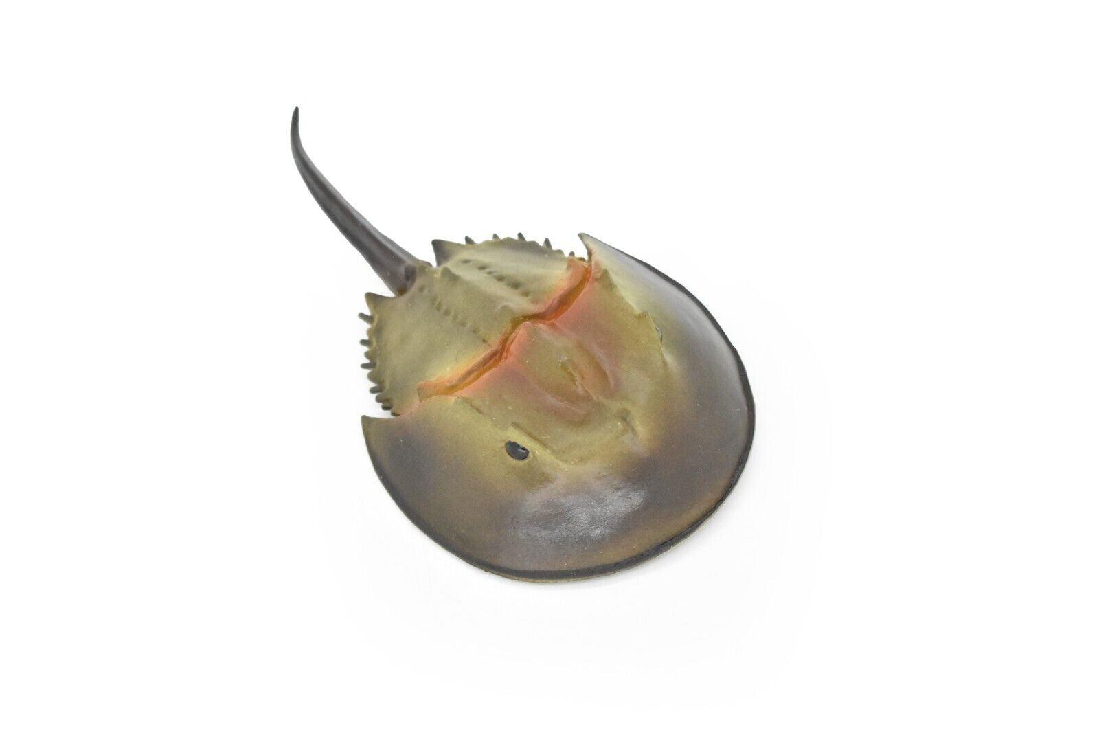 Horseshoe Crab Toy, Arthropods, Ocean, Museum Quality Rubber Figure ...