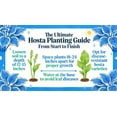 Deep Blue Heart Hosta-Bulbs For Planting-Premium Garden Stakes Perfect ...