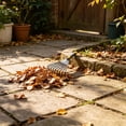 WEIOUKC Small Rake Small Gardening Rake Leaf for Outdoor, Durable ...