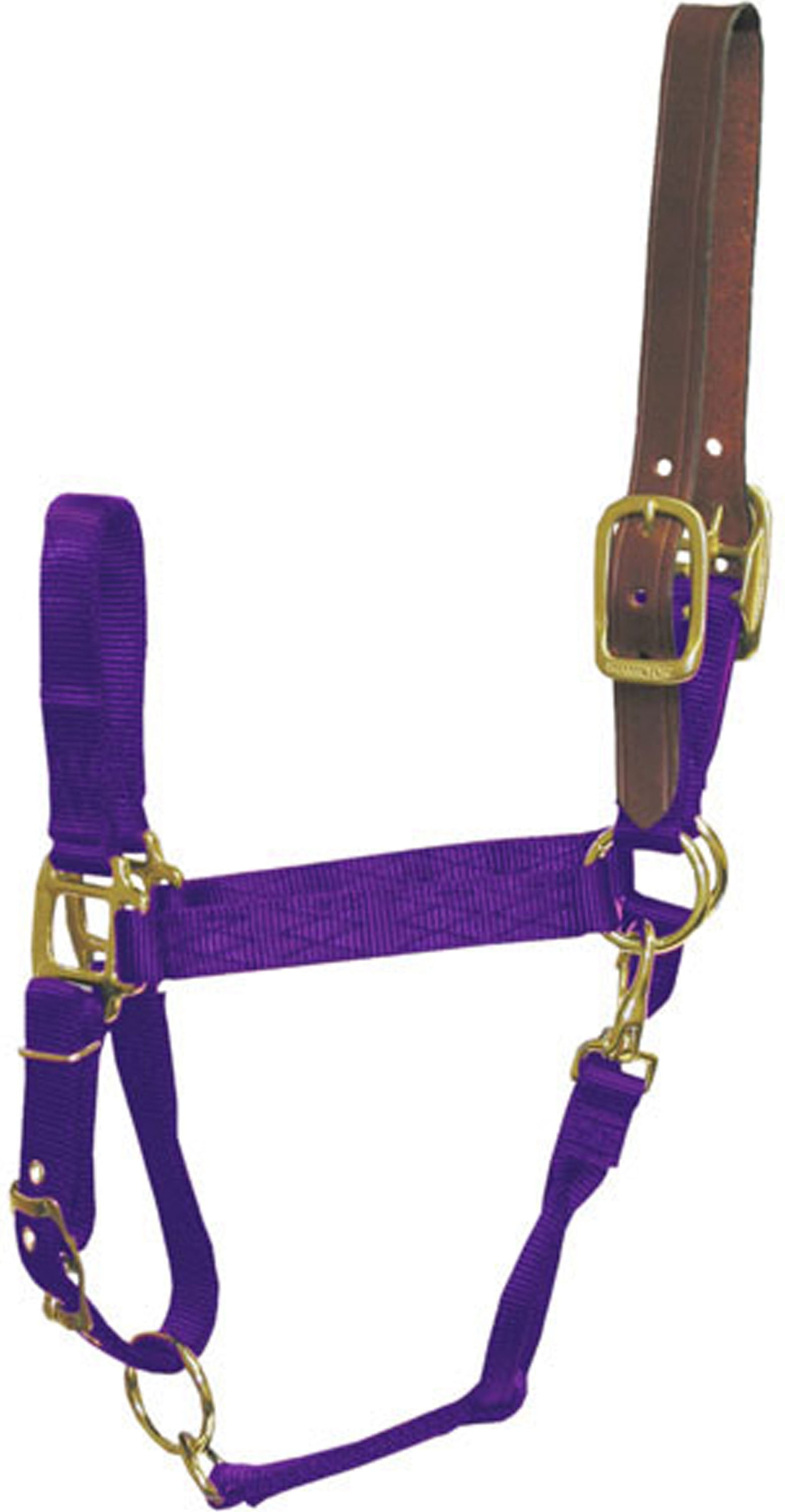Hamilton Halter Company-Adjustable Horse Halter With Leather Headpole ...