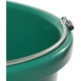 Farm Innovators HB-60 9 Quart 2 Gallon Plastic Heated Bucket w/Metal ...