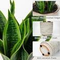 12" Artificial Snake Plant with Ceramic Pot Tropical Fake Snake Plant ...