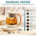 ® Professional Infusion Glass Electric Tea Kettle with Temperature ...
