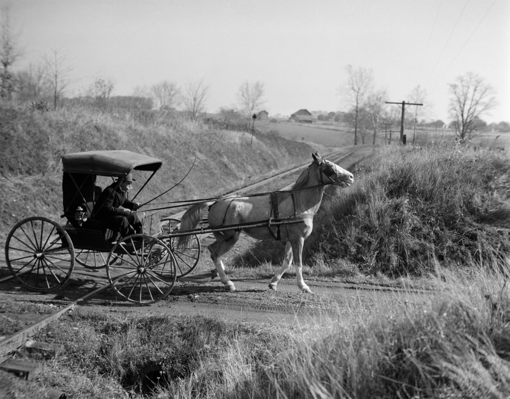 Horse Drawn Carriage 1900