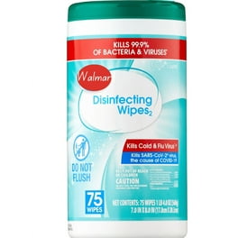 Great value disinfectant wipes store