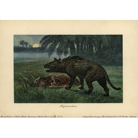 Hyaenodon, Extinct Genus Of Carnivorous Creodonts Poster Print By ...