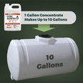 Clean Green Citric Acidifier - 1 Gallon Concentrated Liquid Citric Acid ...