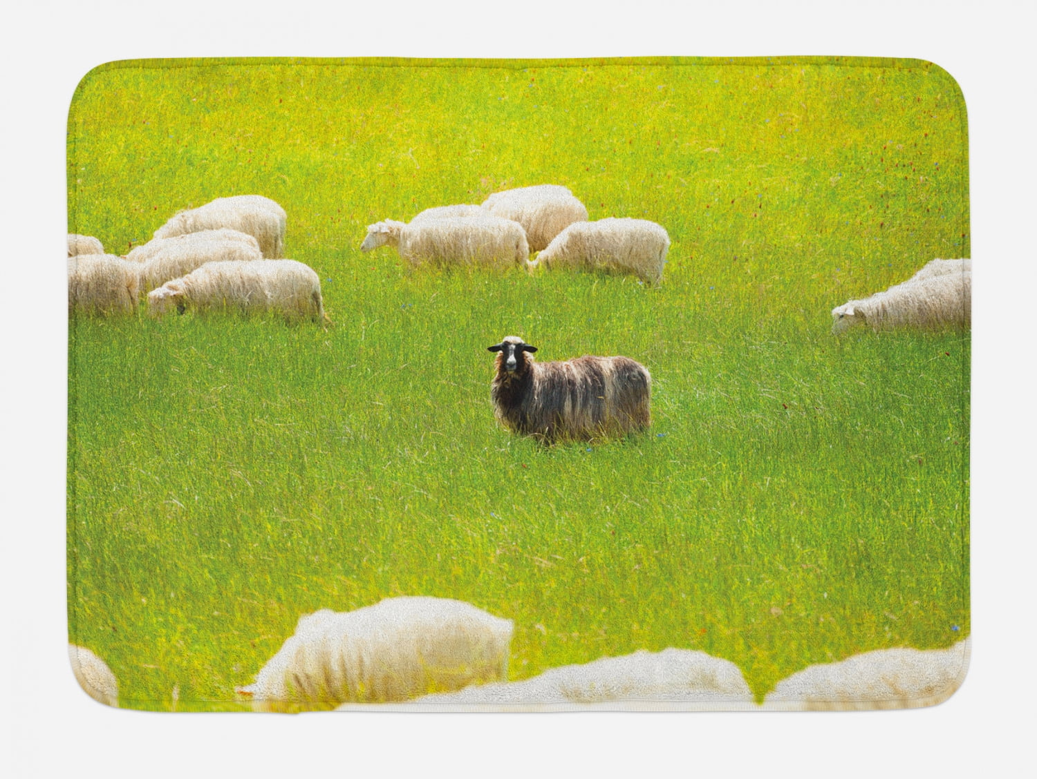 Nature Bath Mat, Black Sheep between White Goats on Grass Field Meadow ...