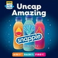 (4 pack) Snapple Elements Fire Dragon Fruit Juice Drink, 15.9 fl oz ...