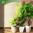2 Pack Standing Grow Light for Indoor Plants, 42W 243LEDs Full Vertical ...