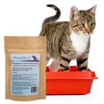 PawCheck Cat Litter for Urine Collection - Reusable and Non-Absorbent ...