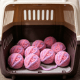 BESTSKY 2026 New 6Pcs Cat Ball Toy,Cat Gifts,Cat Accessories for Indoor ...