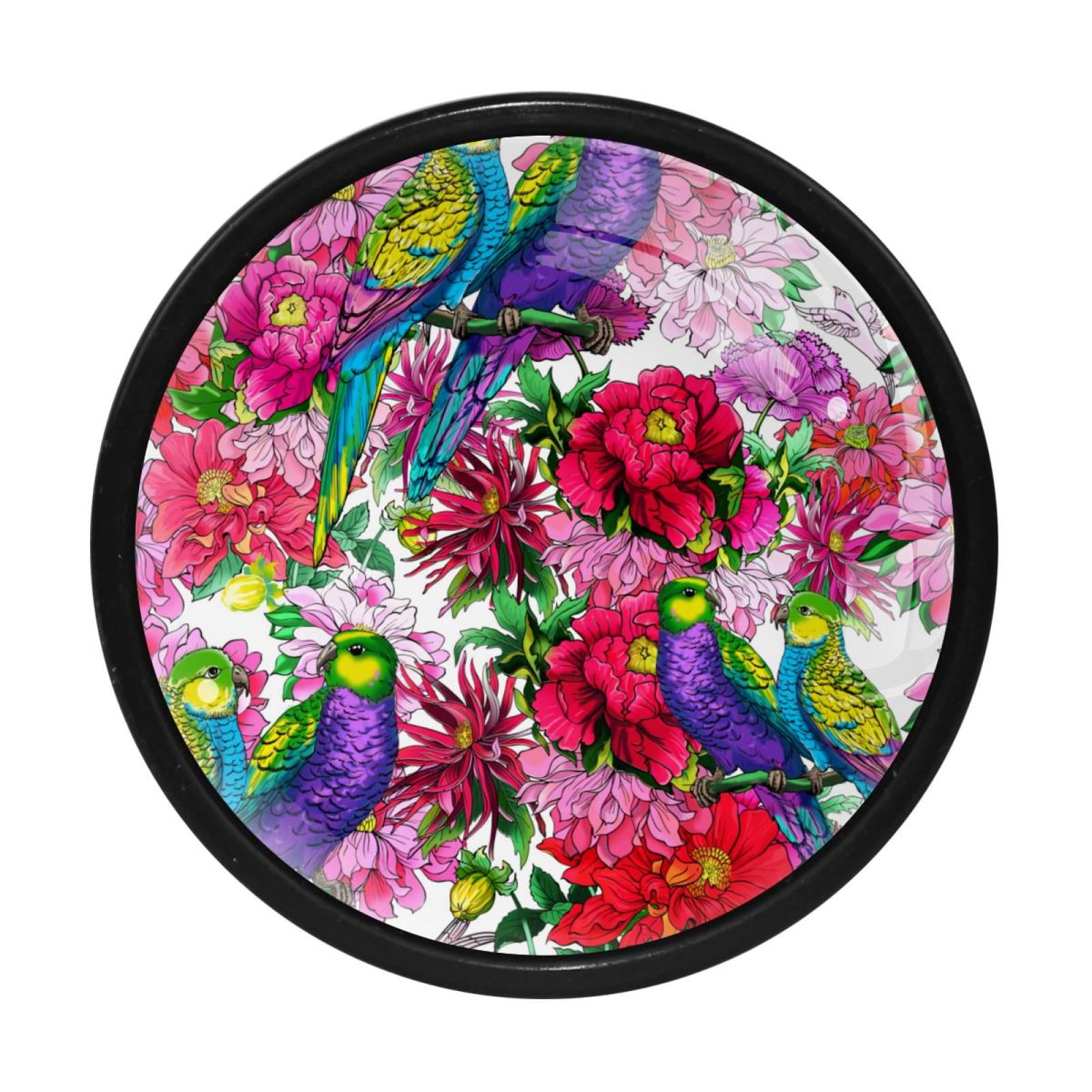 4 Pcs Parrot Knobs for Kitchen Cabinet Cupboard Dresser Bookcase Drawer ...