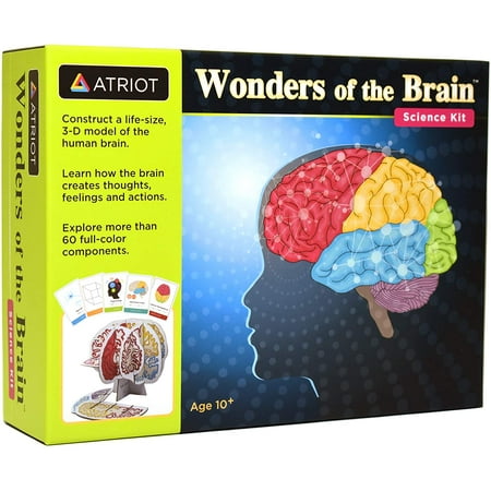 Wonders of The Brain Science Kit, Explore The Human Brain, Ages 10 ...