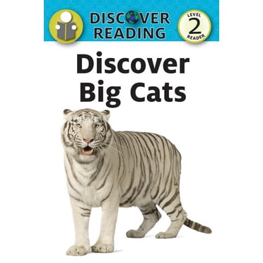 Whiskers to Tails! All about Lions (Big Cats Wildlife) - Children's ...