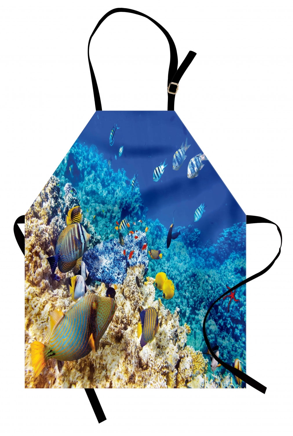 Fish Apron Barrier Reefs Covered Sea with Lagoon and Zebrafish ...