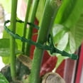 Adjustable Garden Plant Zip Ties Twist Tie, Binding Tree Vines ...