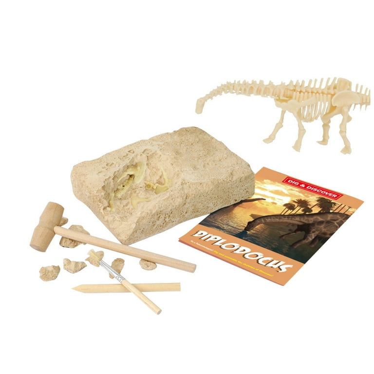 Dinosaur Fossil Sandbox Online | emergencydentistry.com
