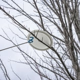 Dynamic Discs Retriever, 16' Telescoping Stainless Steel Disc Golf ...