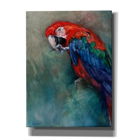 Epic Graffiti 'Aw Macaw' by Robert Campbell, Canvas Wall Art, 40"x54 ...