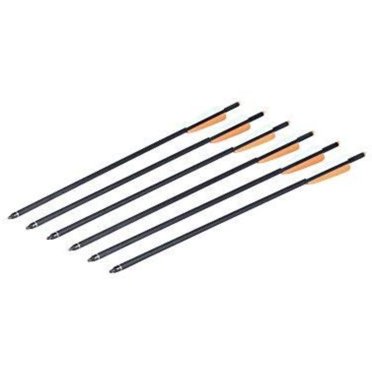 CenterPoint Premium 20 inch Arrow w Lighted Nocks - Walmart.com