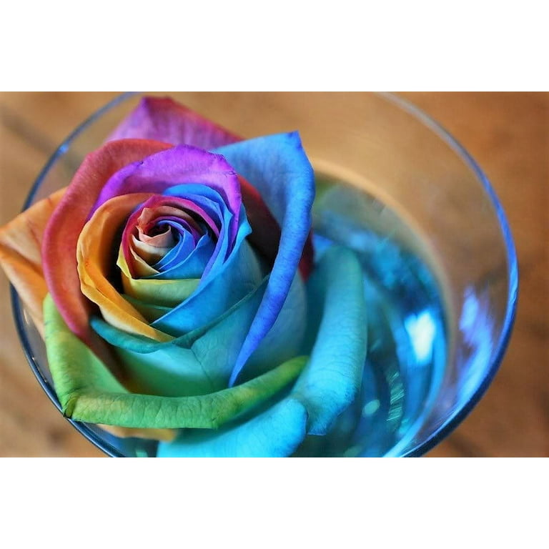 How To Make Colorful Roses
