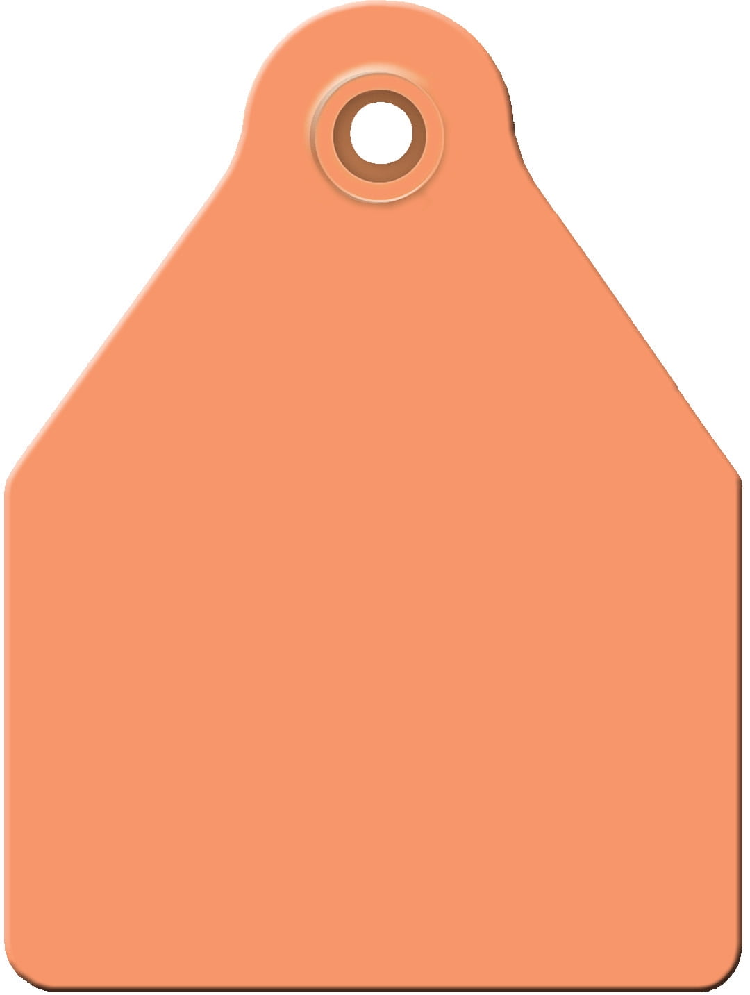 AgriTags Blank Ear Tags (Large), 25 count - Walmart.com