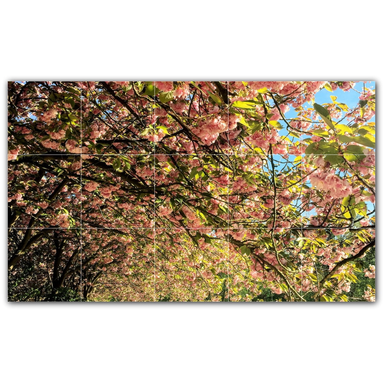Picture-Tiles.com: Spring Ceramic Tile Wall Mural WAL500950-53M. 30"W x ...