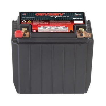 Yuasa YTX20HL-BS Battery - Walmart.com