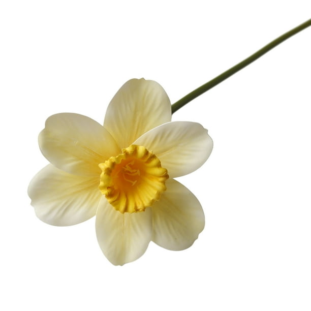 Goriertaly 1/2/3/5 12piece Prop Flowers Three-dimensional And Full ...