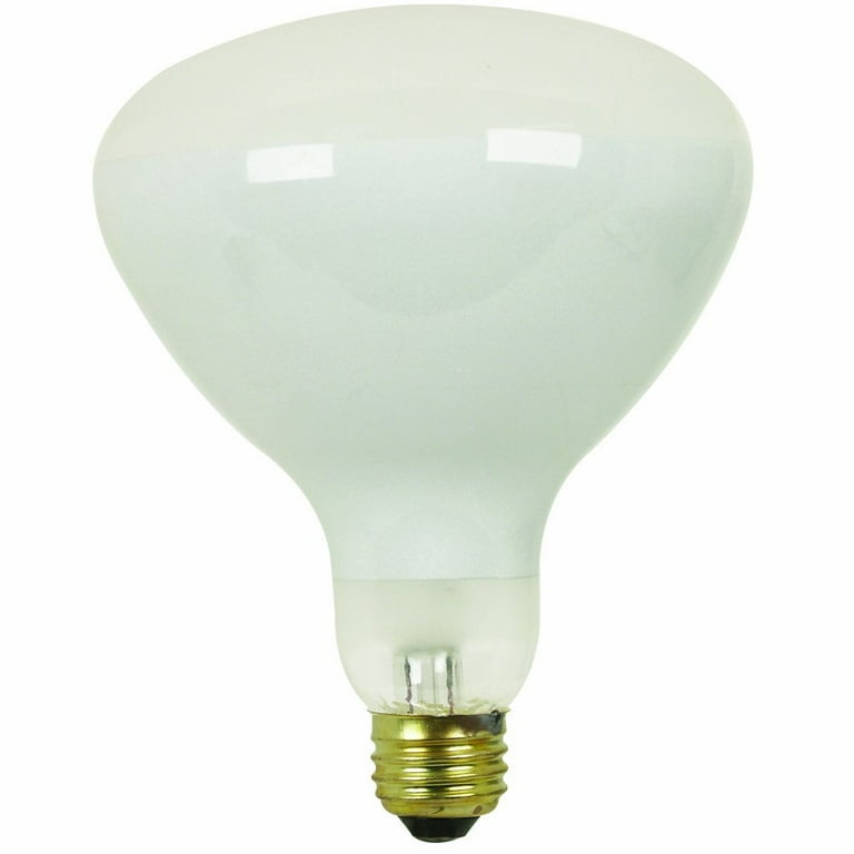 R40 Pool Light Bulb Led | Shelly Lighting