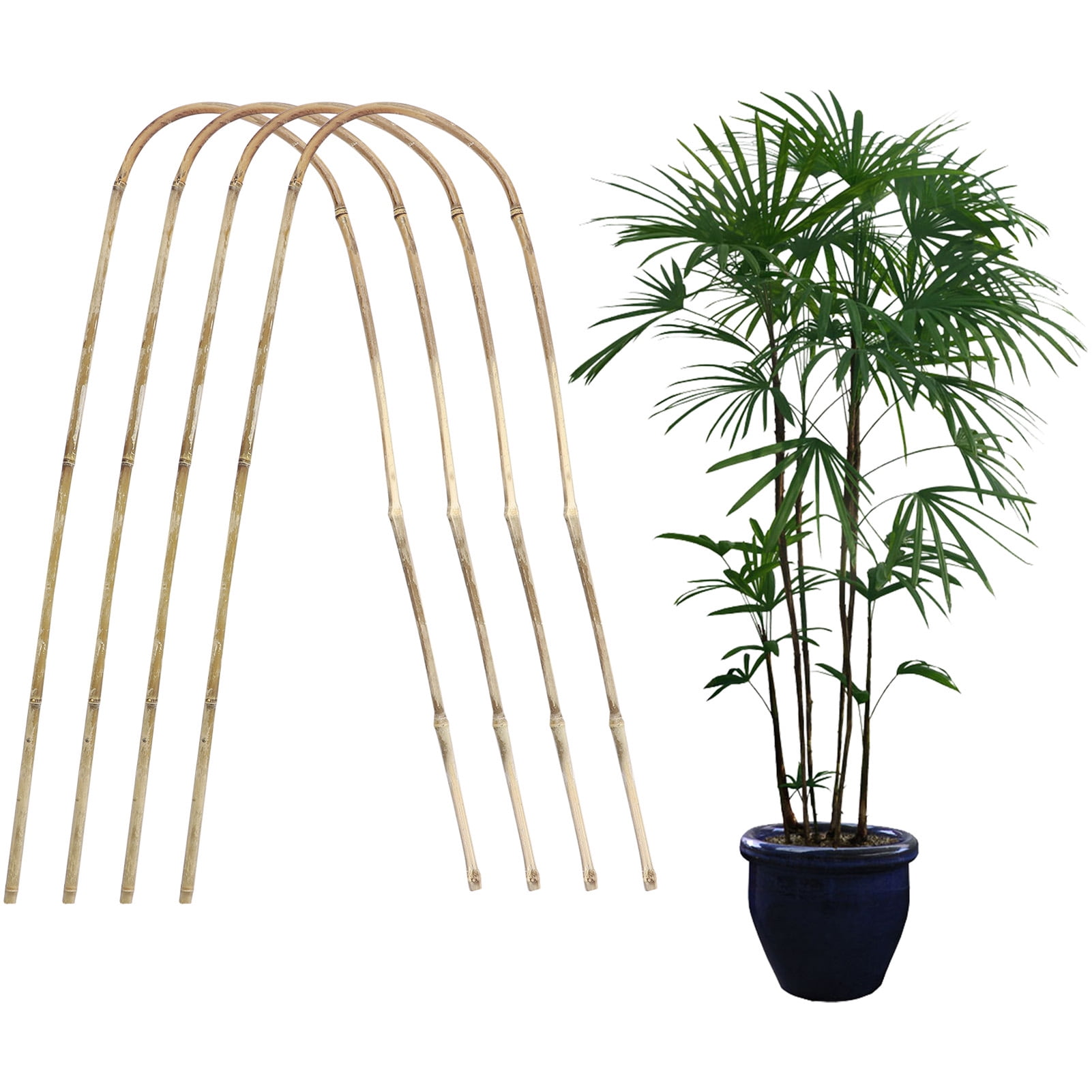 Click here for Loewten Plant Stylish Bamboo Climbing Plant For Ho... prices
