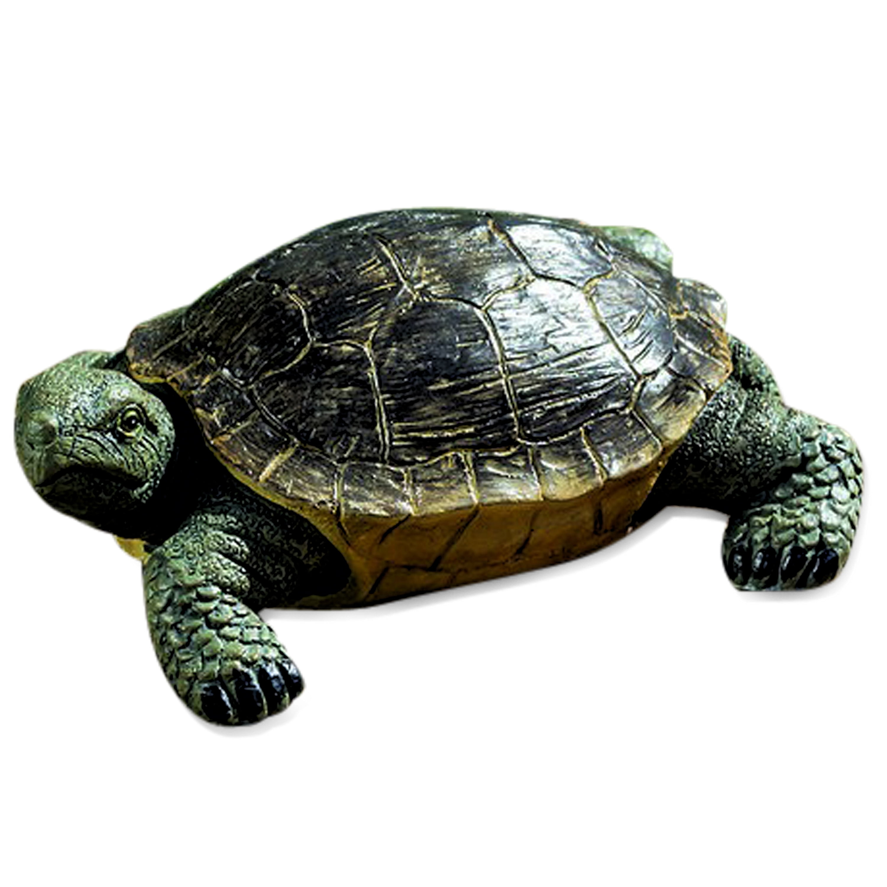 Baby Toby Turtle, Ultra-realistic Outdoor Garden Tortoise Statue, Hand ...