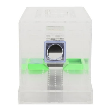 Exo Terra Large Cricket Pen - Walmart.com