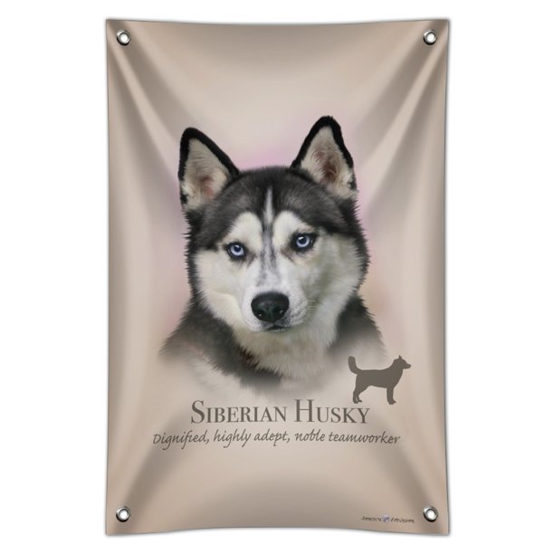 Are Siberian Huskies Next Level Smart